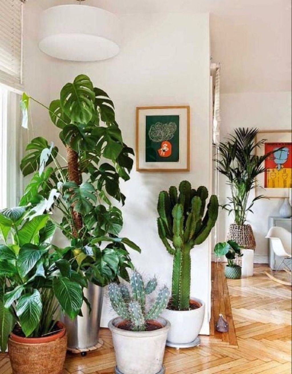 48 Cute Small Cactus Ideas To Maximize Your Interior Design | ARA HOME