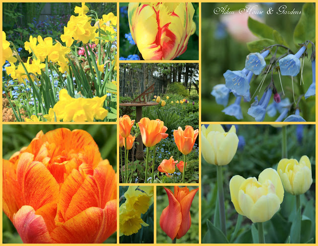 Aiken House & Gardens: Happy First Day of ....Spring?