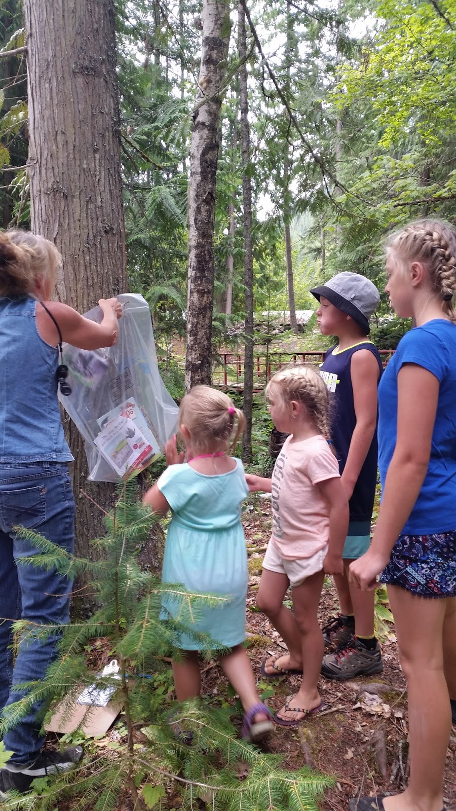 Moe the Mouse and the Love of Reading