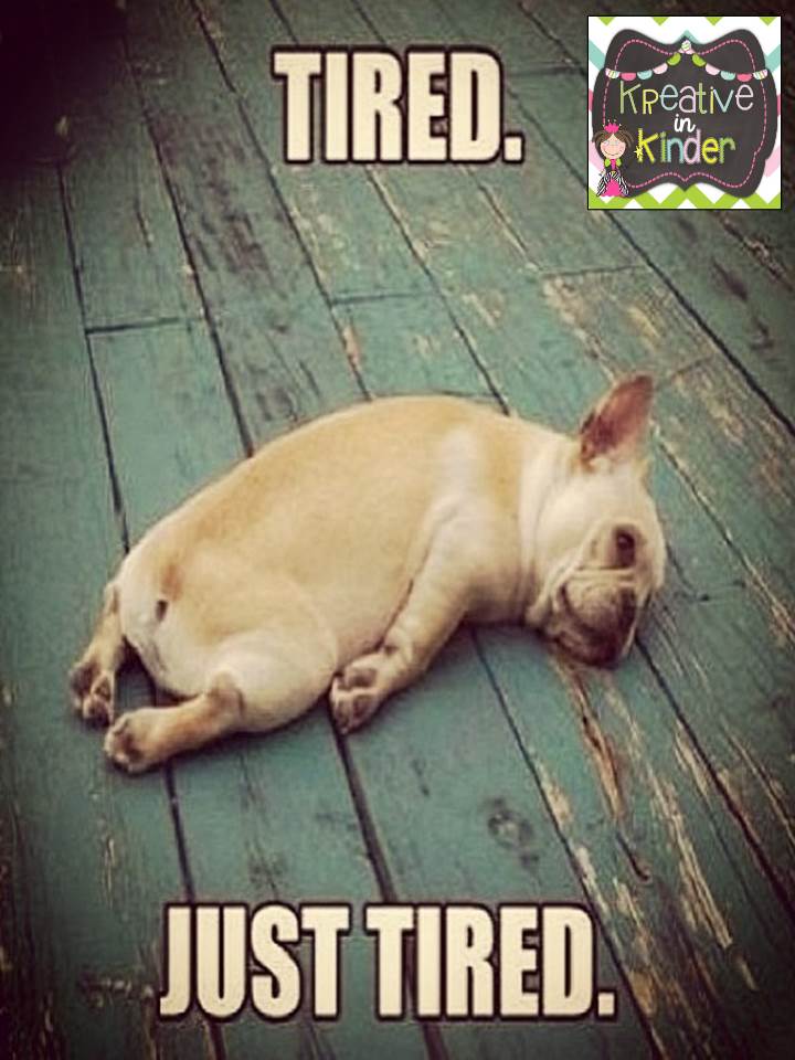 Week One Fun & Done! - Kreative in Kinder