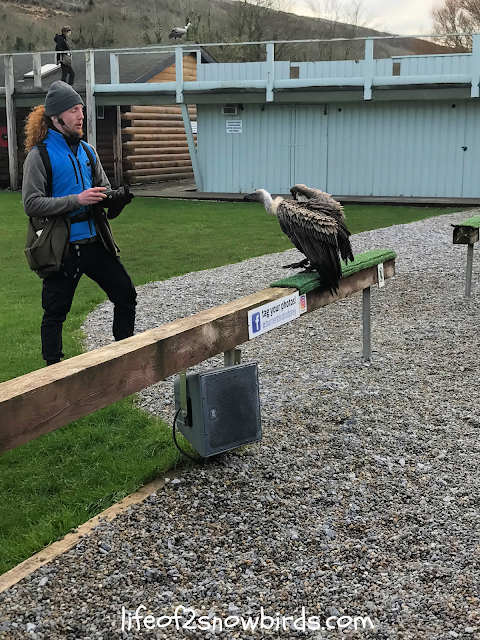 Life Of 2 Snowbirds: Hawk Walk At The Aillwee Caves - County Clare, Ireland