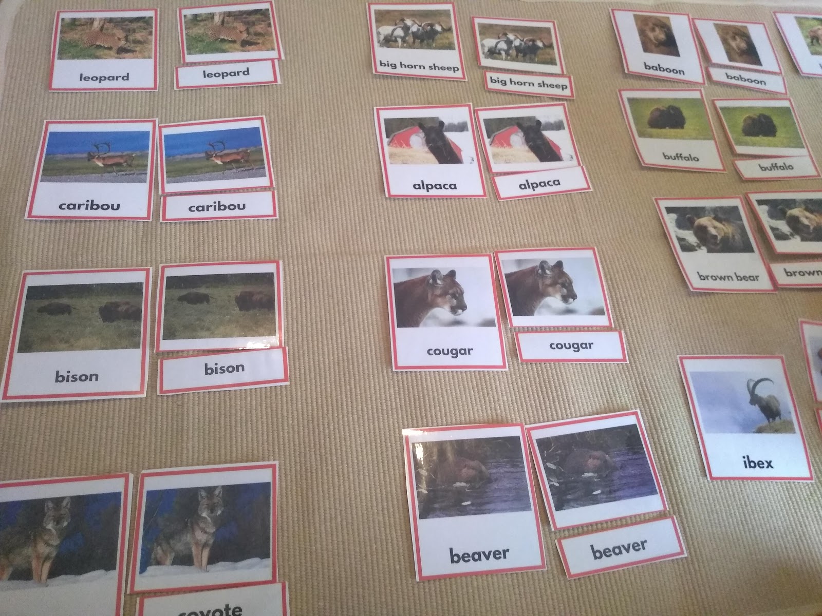 TeacherMomPlus3: Mountain Unit Study