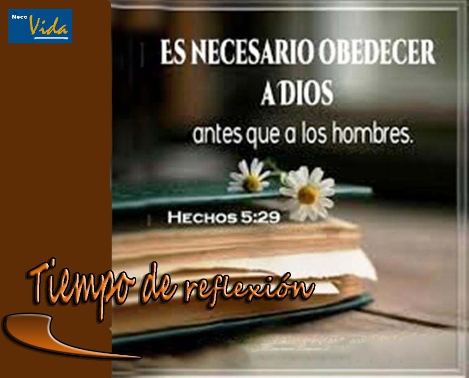 Neco Vida: Tiempo... Hechos 5. 29
