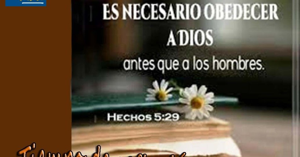 Neco Vida: Tiempo... Hechos 5. 29