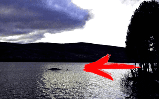 くりぷと〜世界の奇妙な住人たち: ポヘネガムーク湖の水生獣 ～ ポニック