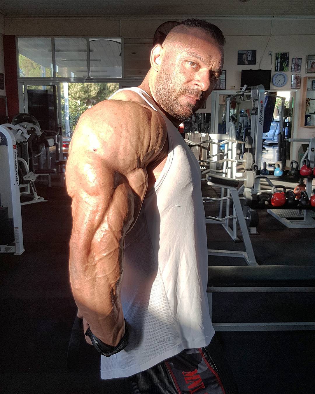 Muscle Lover: Turkish-Cypriot bodybuilder Murat Senyigit (2)