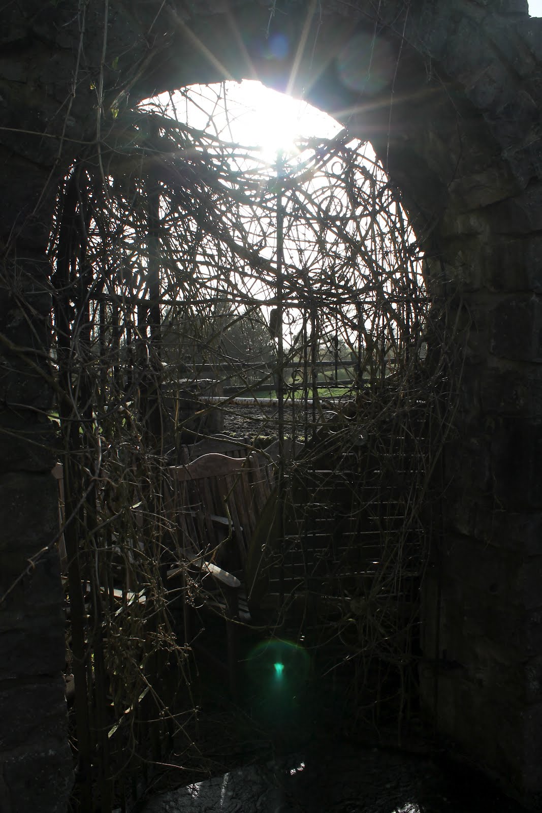 Alexa Aldrich: Wale of A Tale.