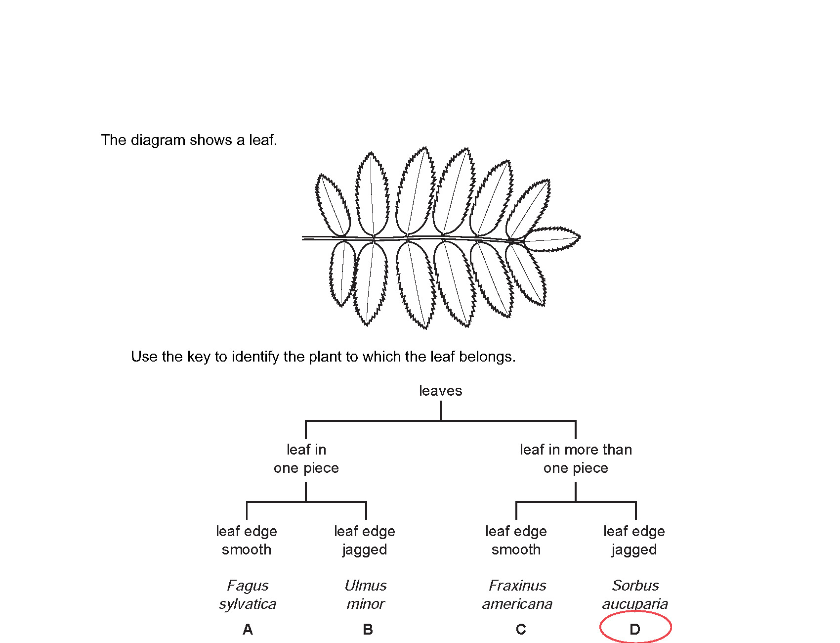 Characteristic and Classification of Living Organisms Paper 2 Solved ...