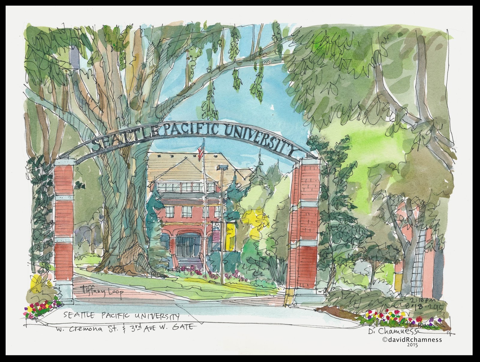 Chamness draw&paint: Seattle Pacific University