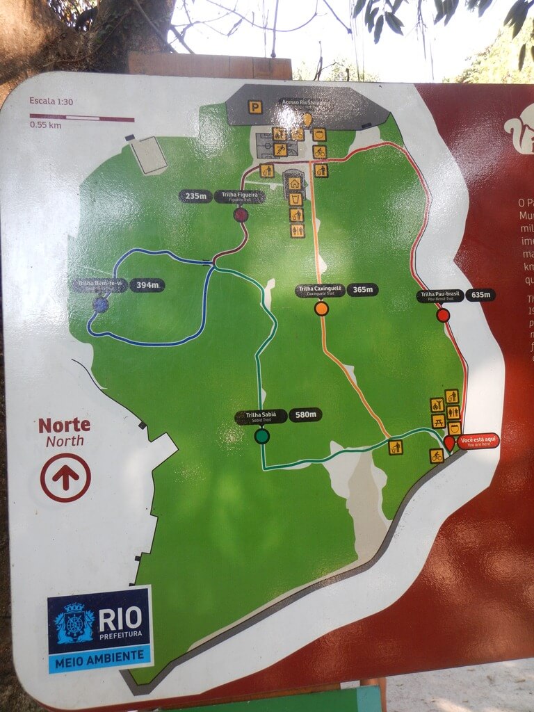 Bosque da Freguesia, um refúgio no Rio de Janeiro | Viajar correndo