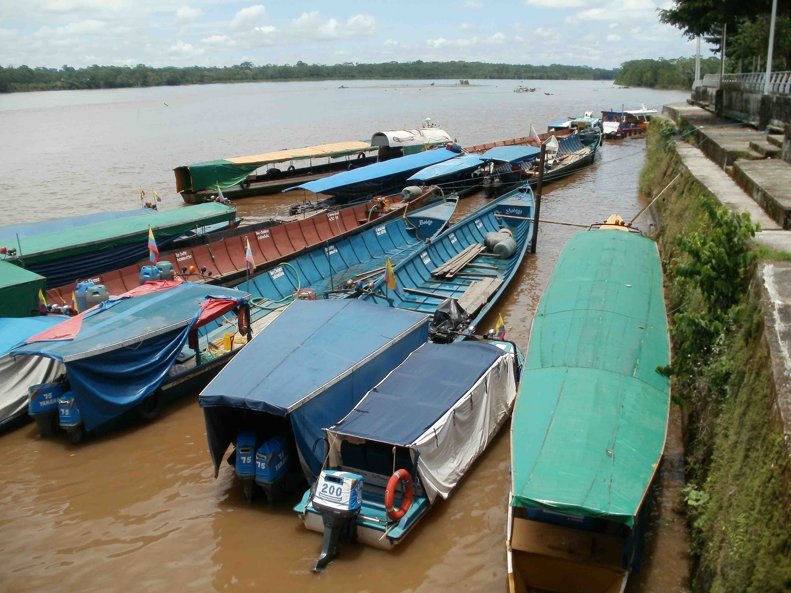 Pilgrimage Through the Americas: Exploring Amazonia