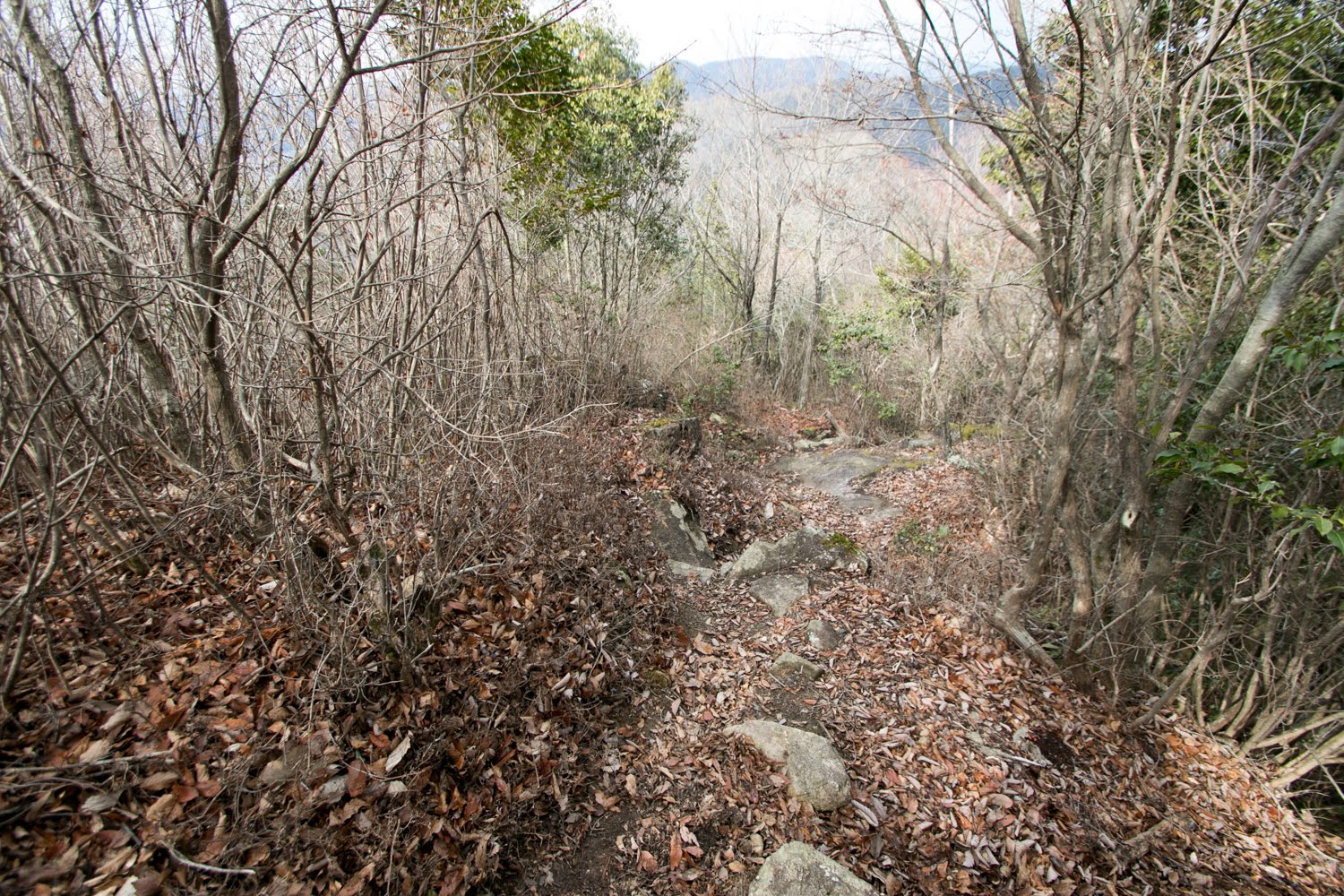 Tenjinyama Castle (Bizen) -When it goes around it comes around- | Ken's ...