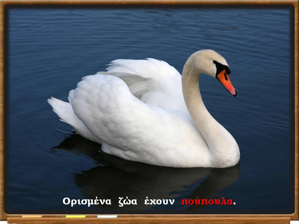 Παίζω και μαθαίνω: ΤΑ ΖΩΑ