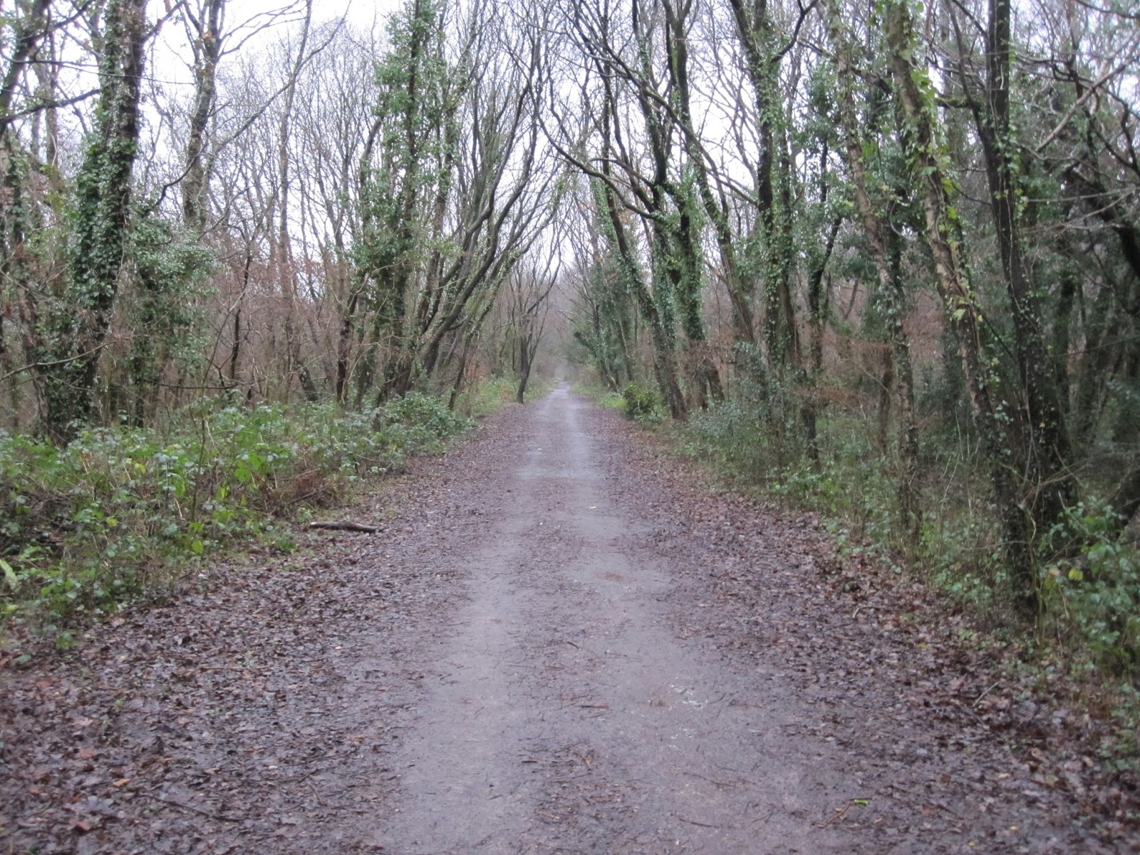 Taff Trail: Taff Trail from Cardiff Bay to Pontypridd