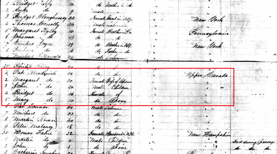 My Moynahan Genealogy Blog: Black Forty-Seven: The Brodericks Atlantic ...