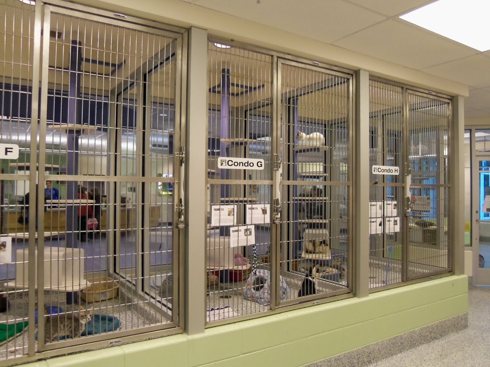 Foothills Animal Shelter Golden Colorado