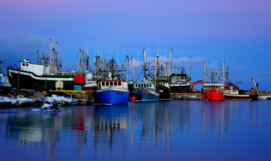 that girl from around the bay: M is for Musgrave Harbour