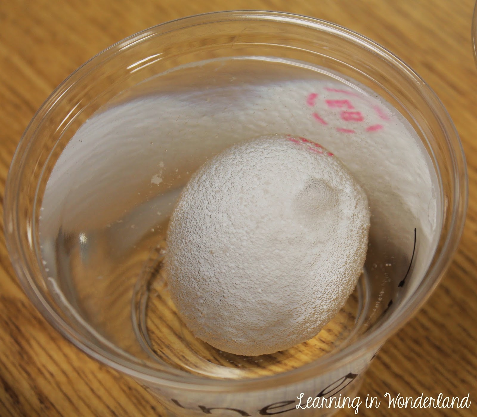 Hello Sunshine: Naked Egg Experiment