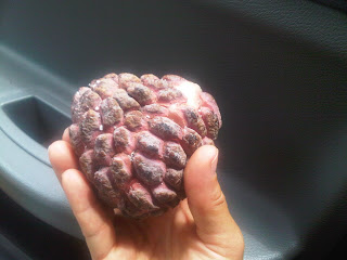 Guam Vegan: Atis Fruit