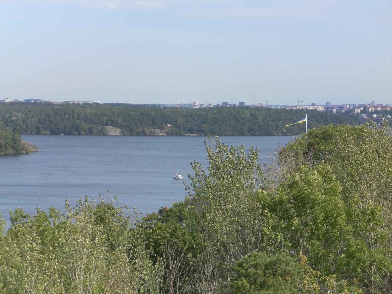Klass 1A Slättgårdsskolan: Vi letar myrstackar!