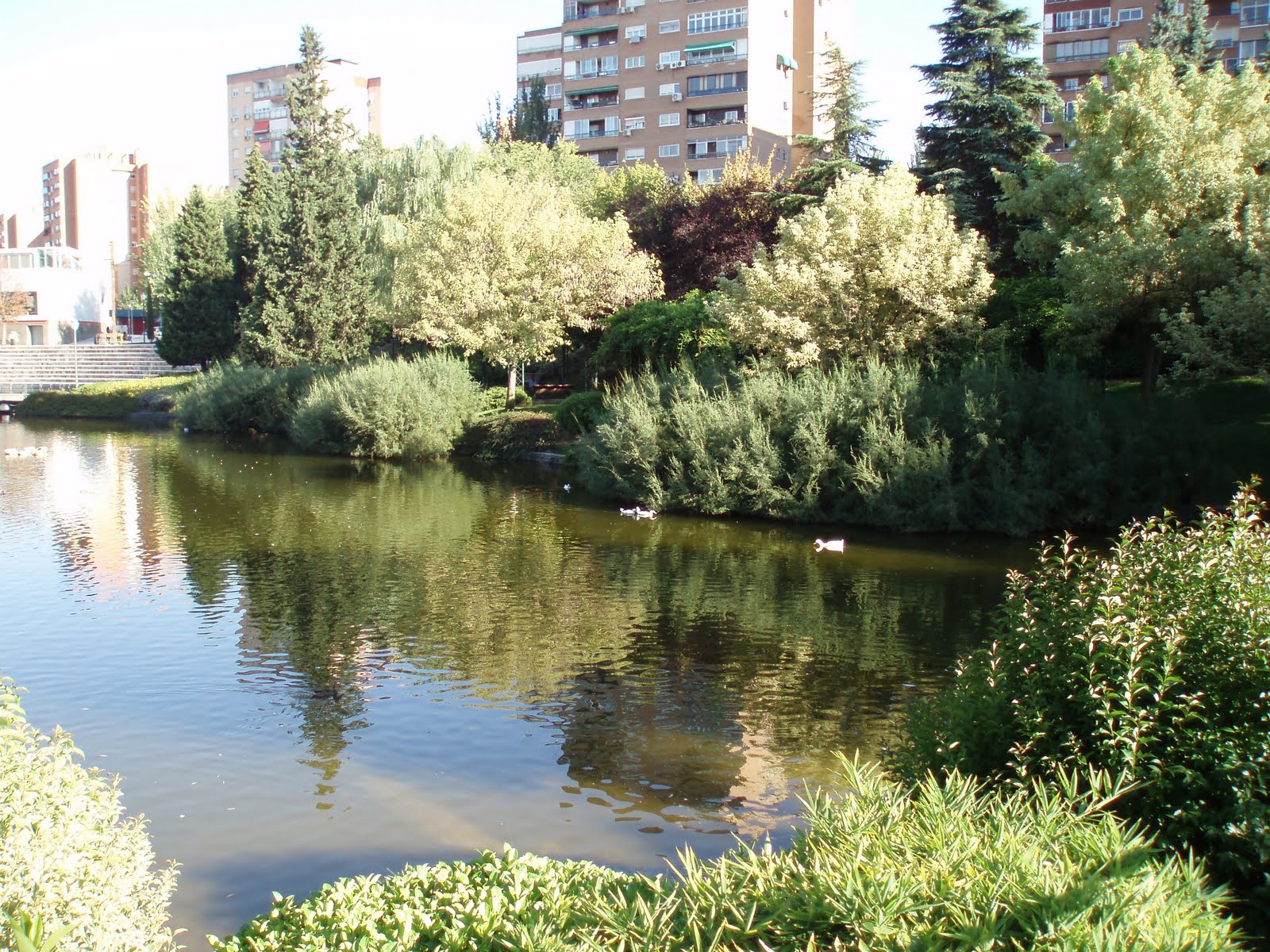 Conocer Coslada: El Lago de Coslada
