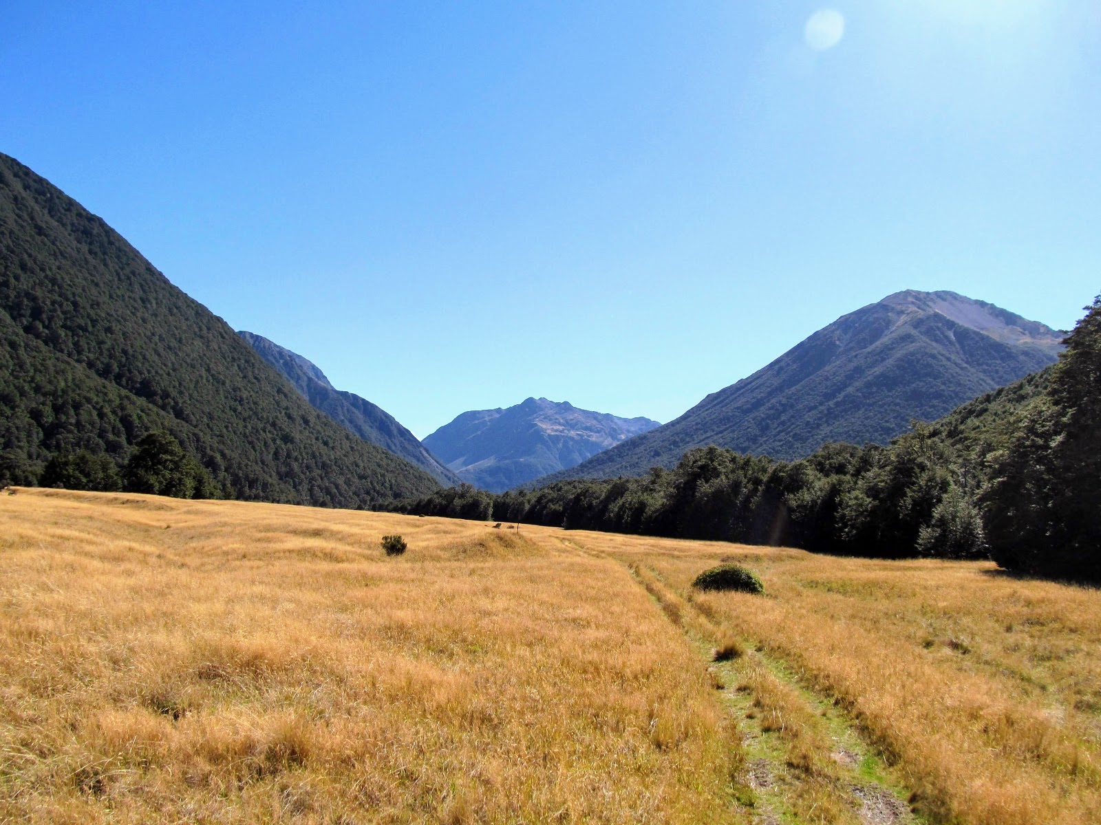 Tramping in the New Zealand backcountry: NZ Bush Adventures: Hawdon ...
