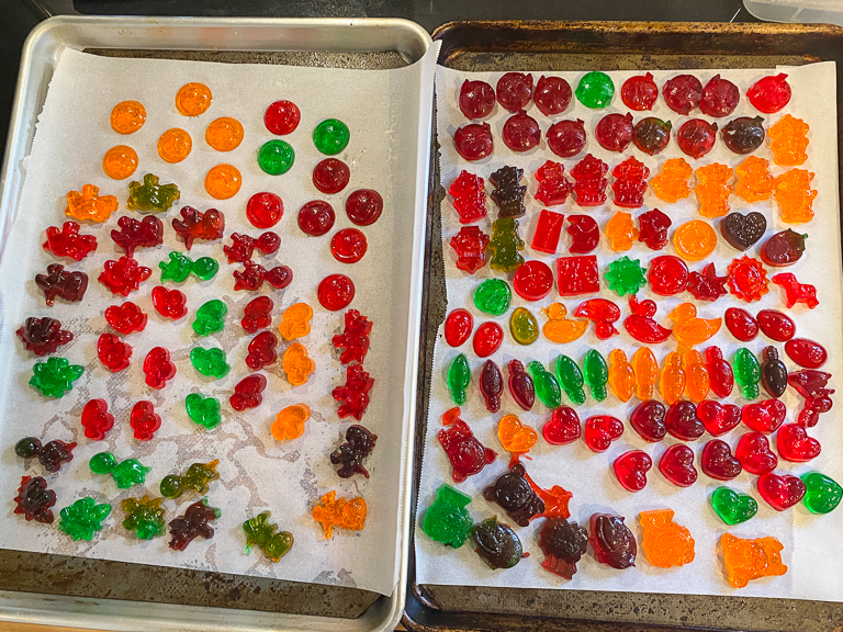 Tales of the Flowers: Making Gummy Candies and Fruit by the Foot at Home!