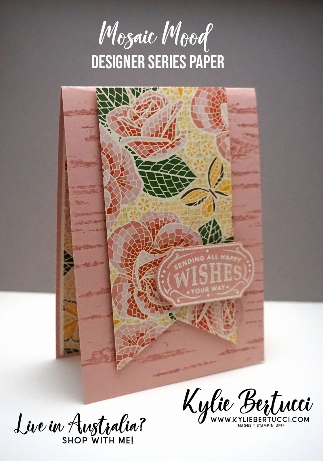 NEW All Star Tutorial Bundle - Kylie Bertucci