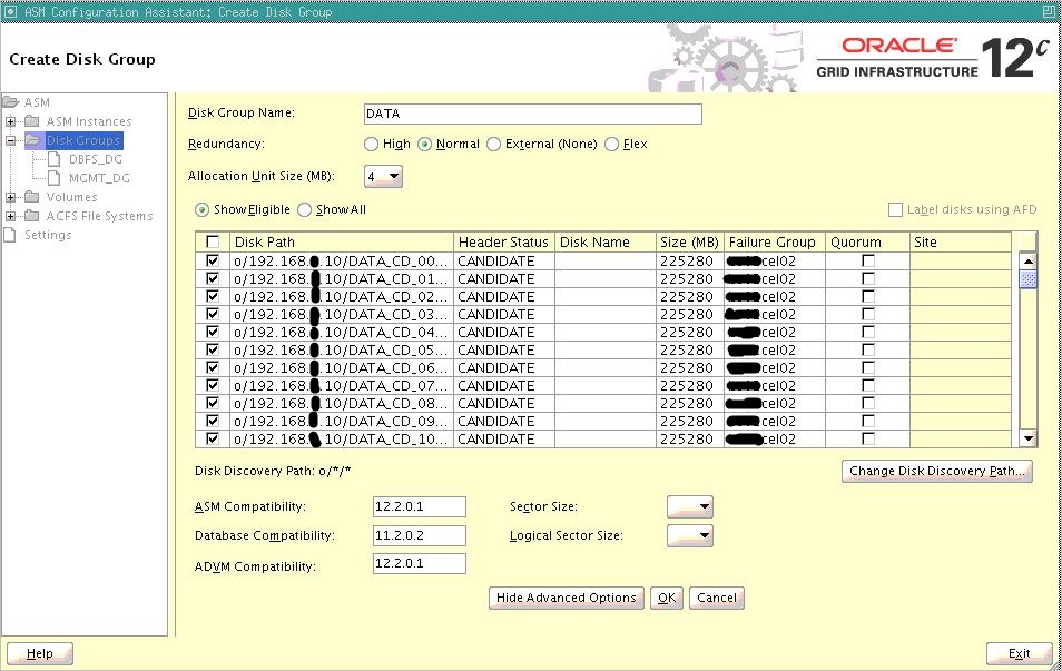 Netsoftmate Technical Blog : Create ASM Disk Groups on Exadata Database ... Netsoftmate Technical Blog : Create ASM Disk Groups on Exadata Database ...