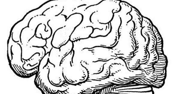 SAMARPAN PHYSIOTHERAPY CLINIC: Frankele's Co-ordination Exercise in ...