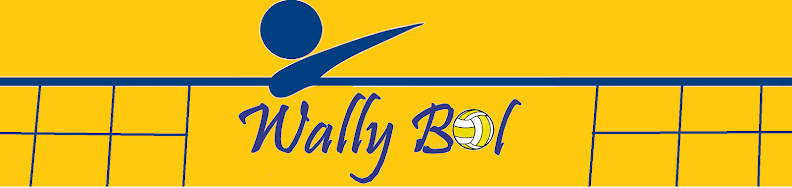 REGLAS BASICAS DEL WALLY - WallyBol