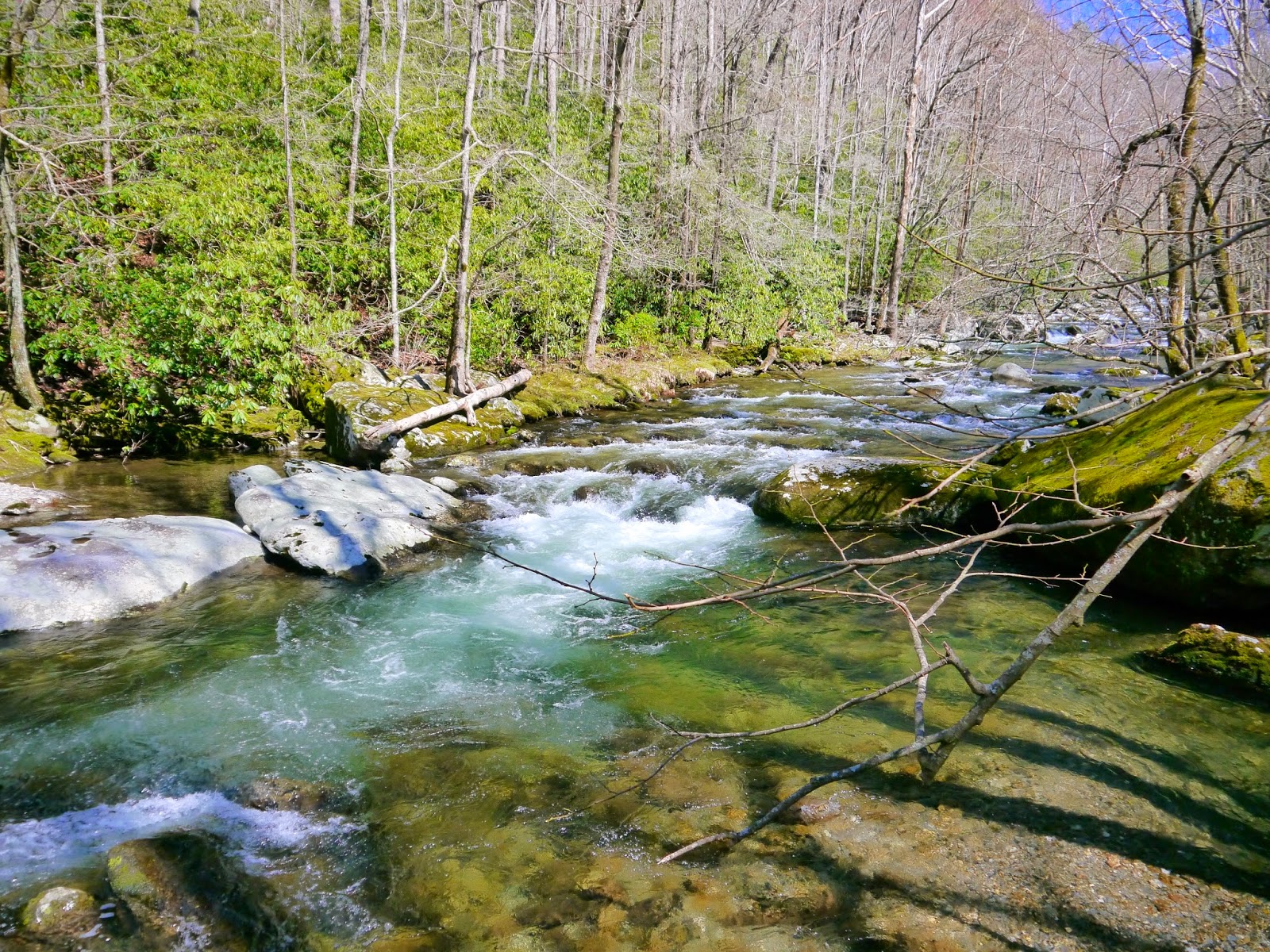 American Travel Journal: Little River Trail - Great Smoky Mountains ...
