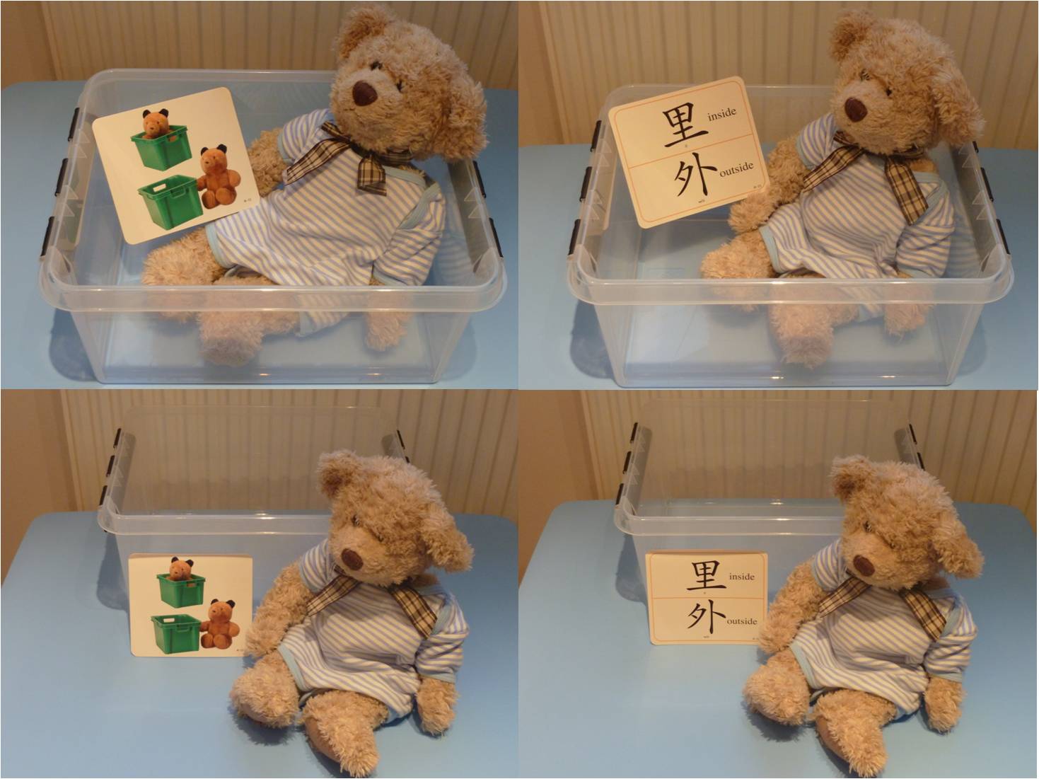 Family FECS: Montessori Activity: Inside & Outside Sensory Box