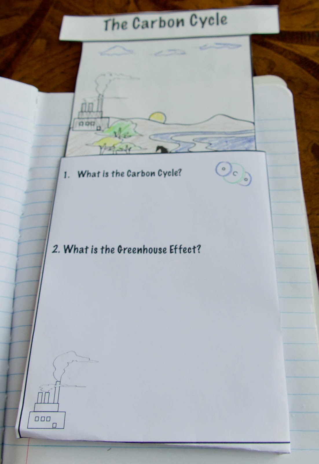 Teaching Photosynthesis for Middle School - Teaching Science with Lynda ...