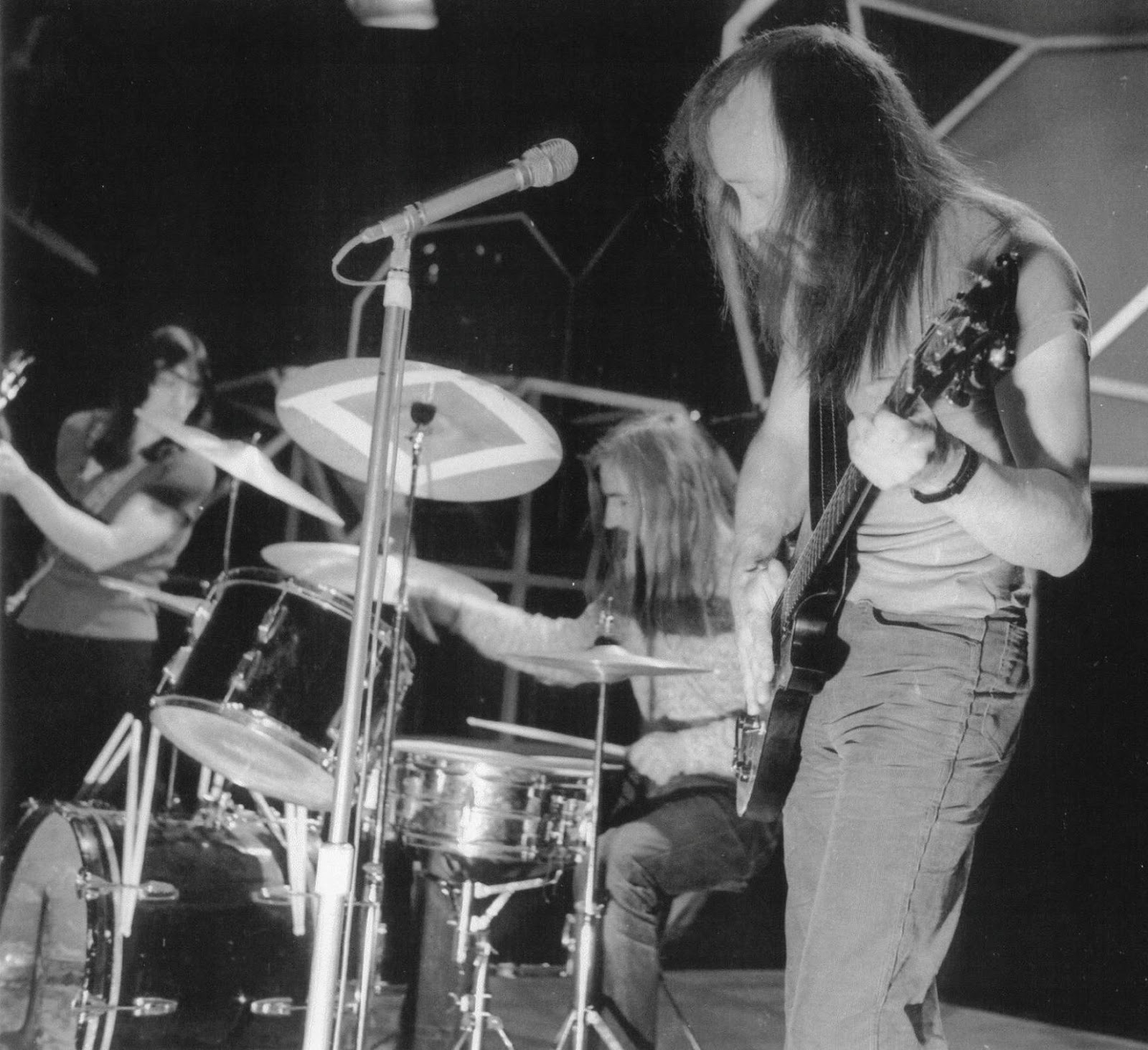 Forestdweller: The Groundhogs