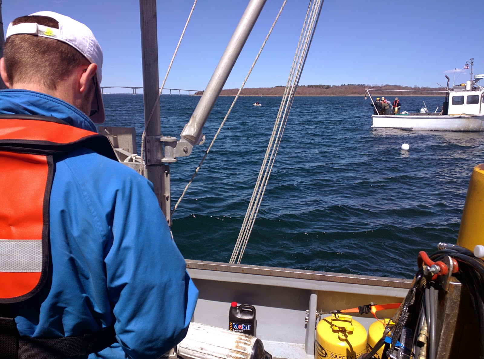 lizzie + doug: Rhode Island