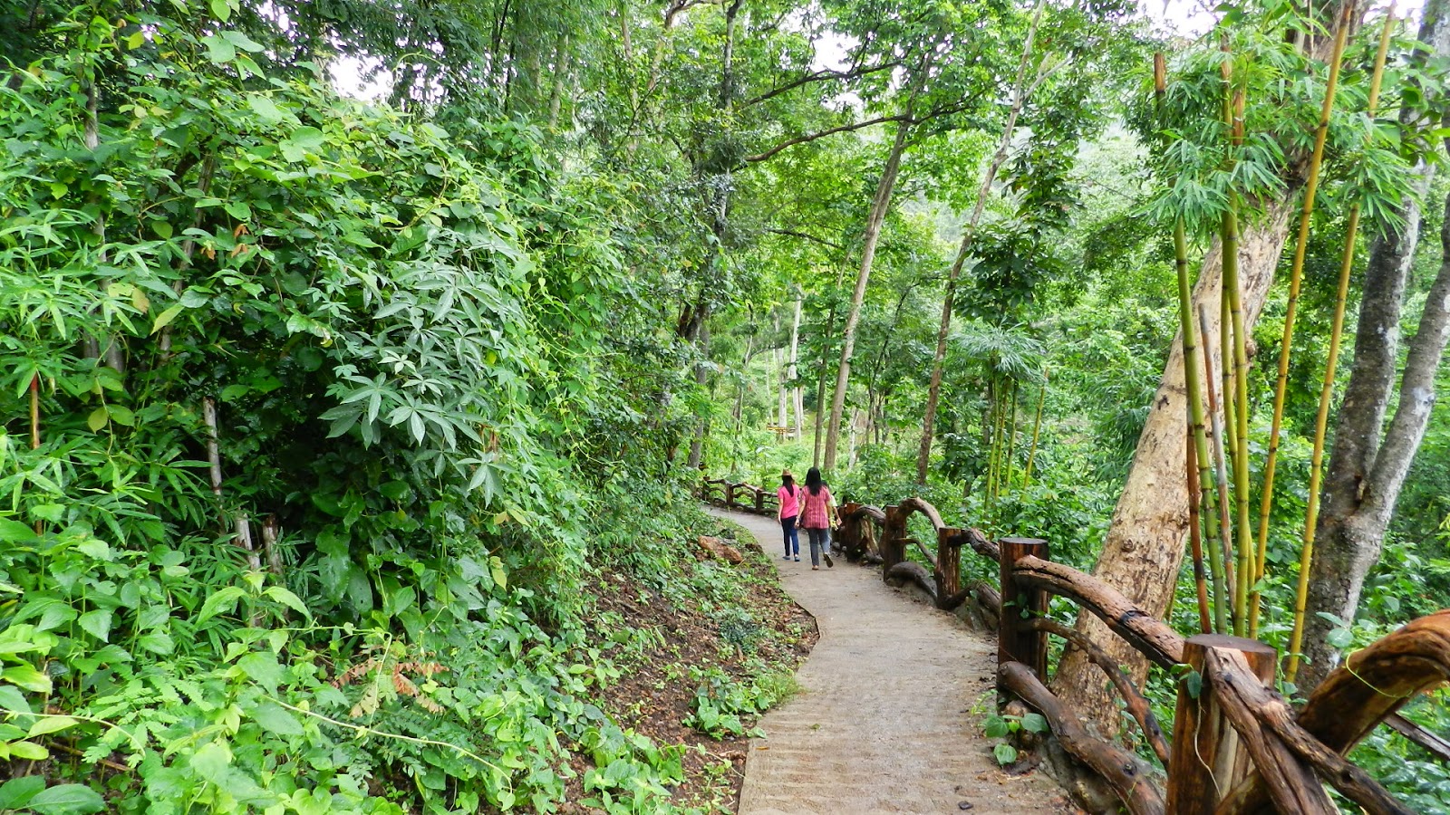 Ko Luang Waterfall, a spectacular stalactite waterfall