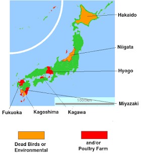 Avian Flu Diary: Japan: 4th Prefecture (Miyazaki) Reports Farm Outbreak ...