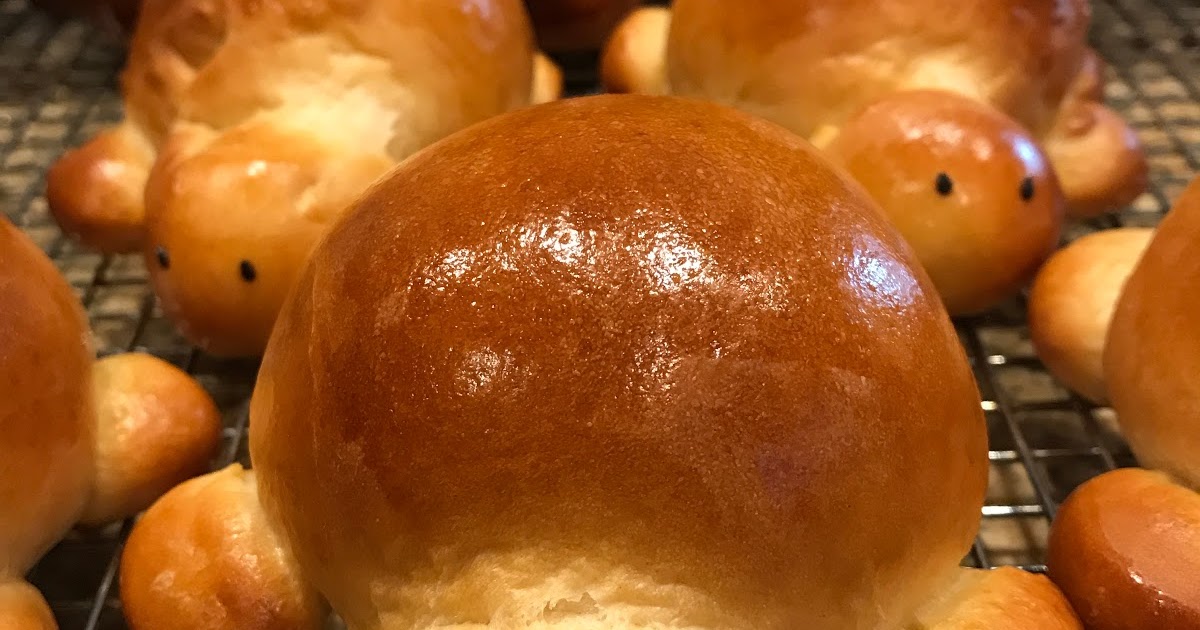 Turtle Buns