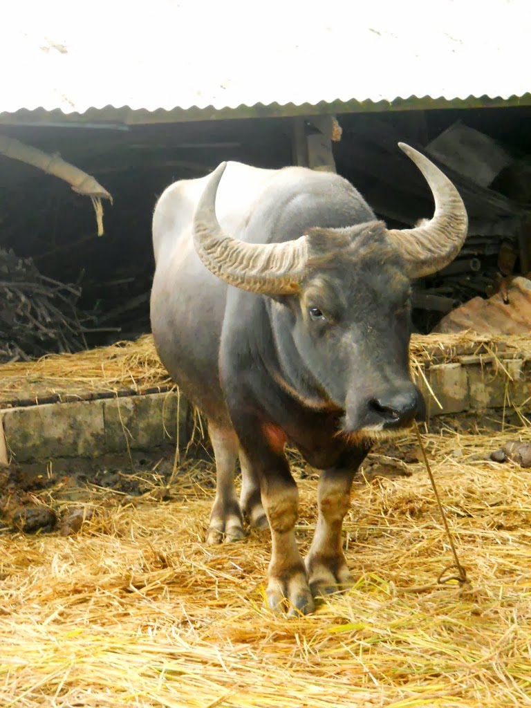 PAGBURNAYAN JAR | Tita Zel