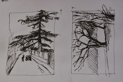Aylish's OCA Learning Log: Project Drawing Trees: Sketching an ...
