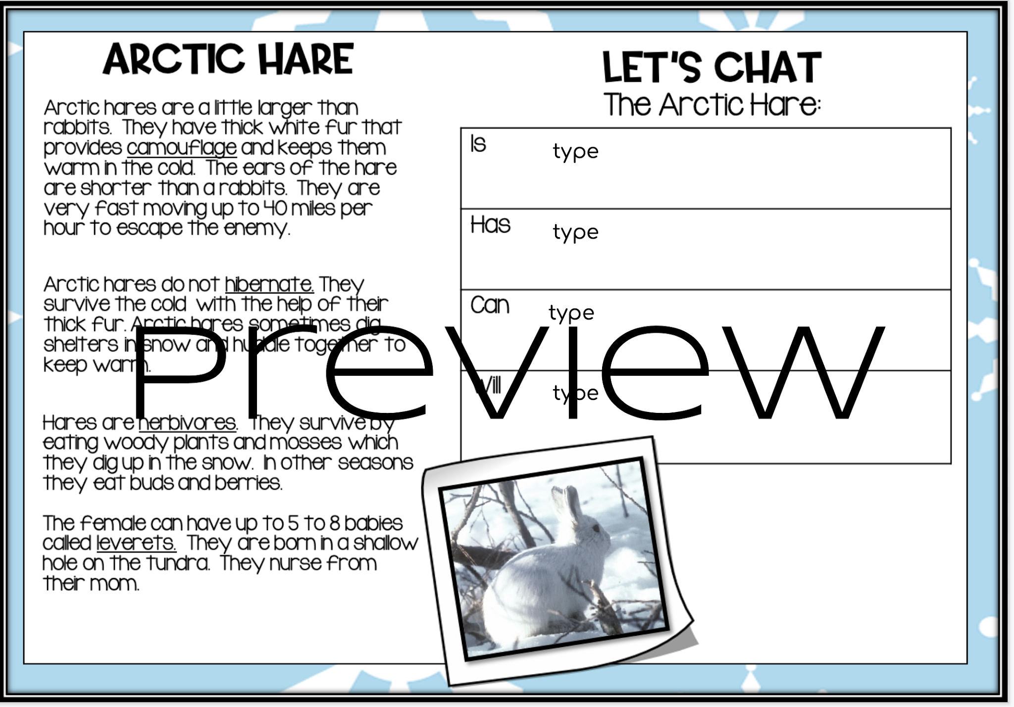 1st Grade Hip Hip Hooray!: Arctic Animals...Read, Write, Report ...