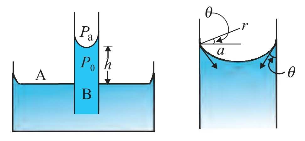 Mechanical Properties of Fluids Class 11 notes Physics Chapter 10 - M ...