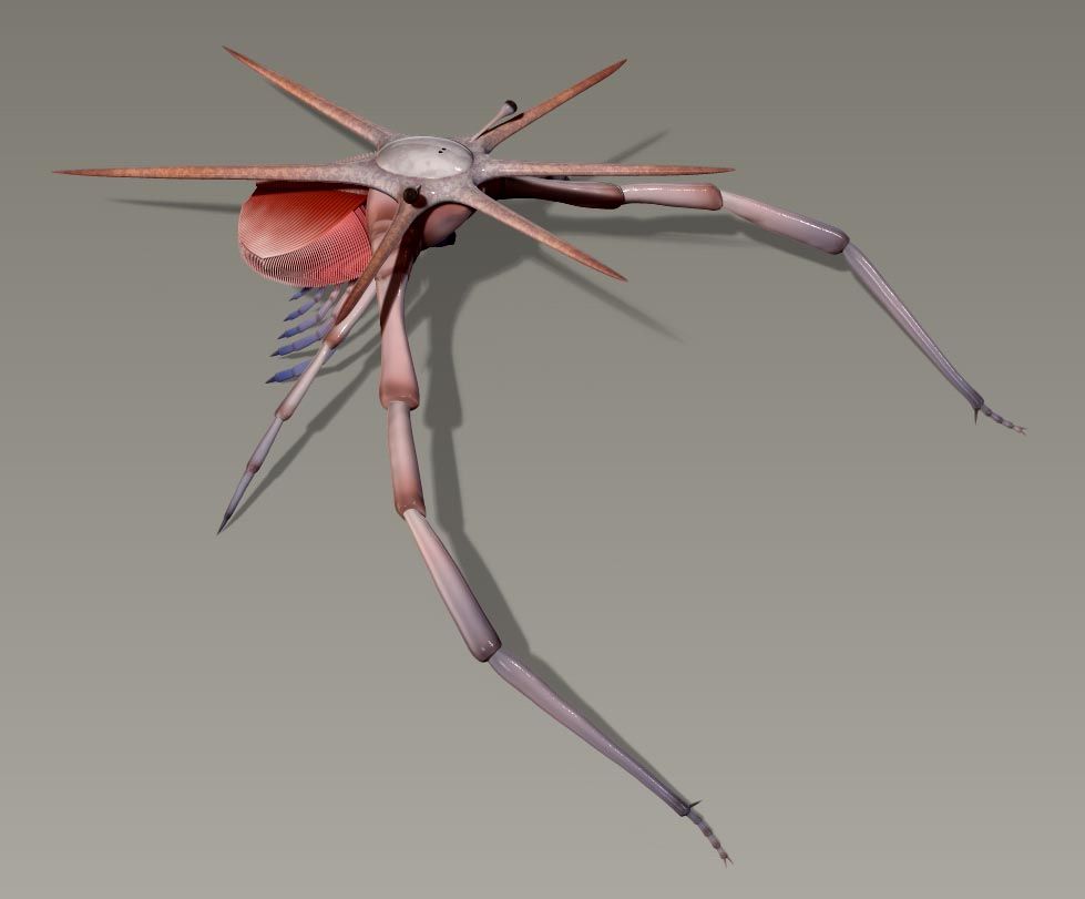 Noticias de Paleontologia: enero 2020