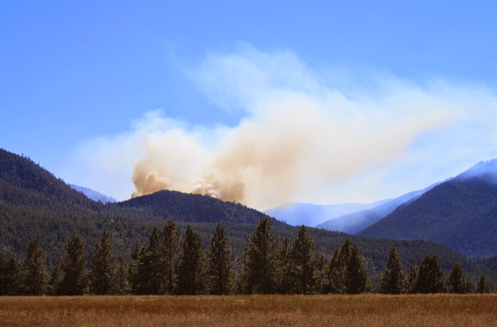 Living and Dyeing Under the Big Sky: Thompson Falls Fires from our ...