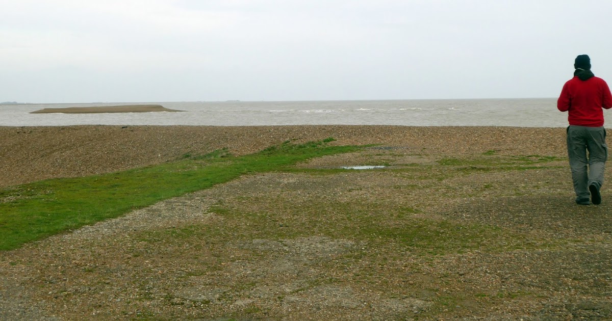 Wild and Wonderful: A Winter Afternoon at Shingle Street