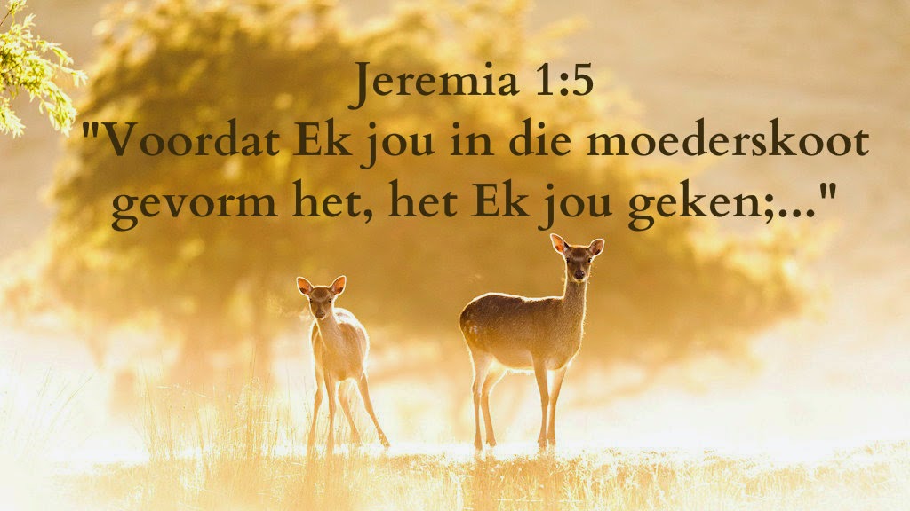 Afrikaanse Inspirerende Gedagtes & Wyshede: Bybelverse