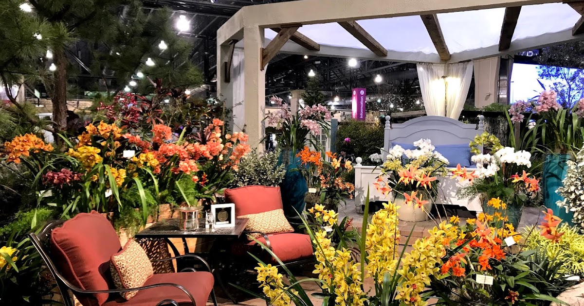 Orchids and Ikebana: PHS Philadelphia Flower Show 2020 - Orchids (4)