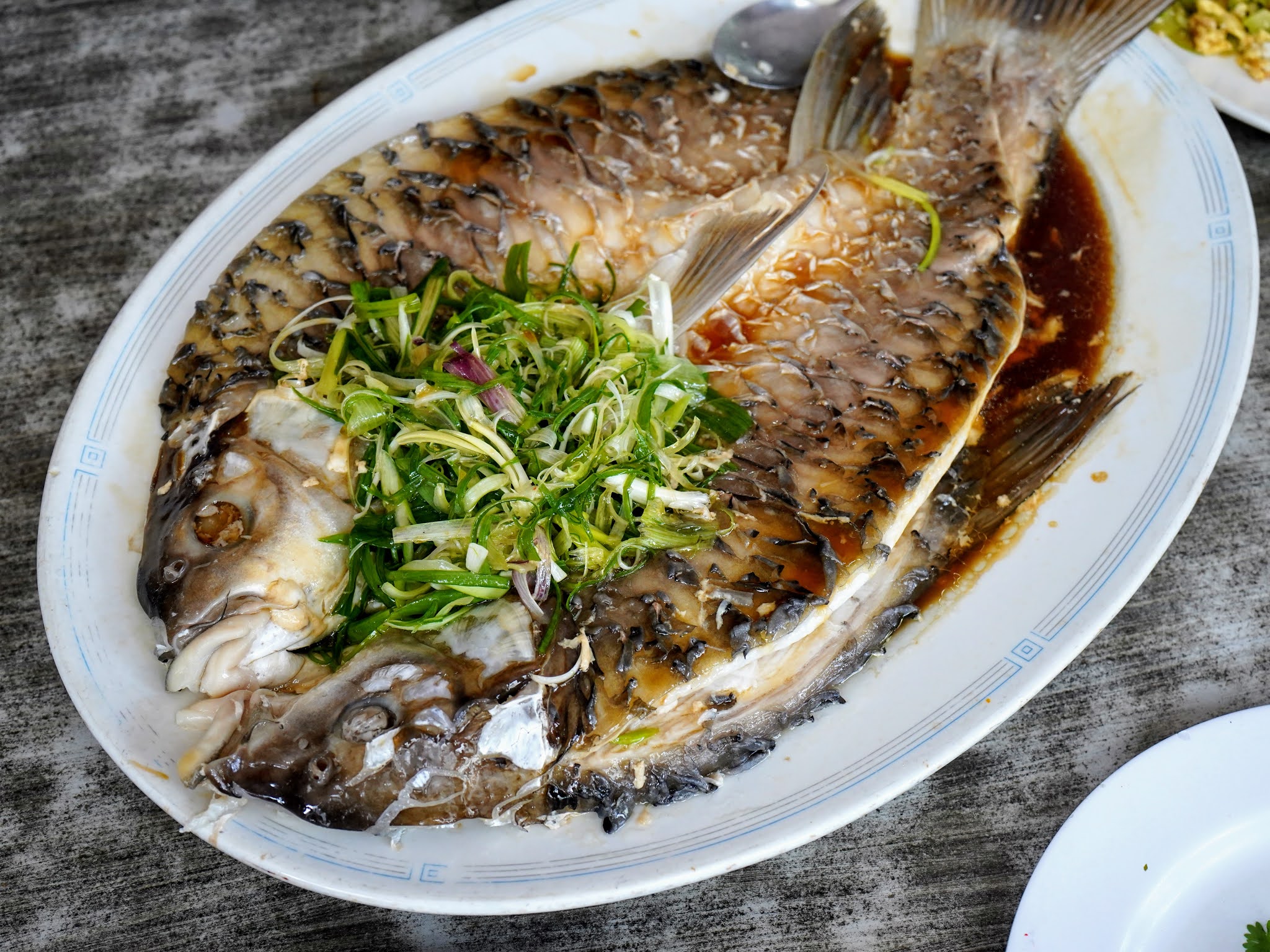 Where to Eat Empurau Most Expensive Unforgettable Fish in Singapore 忘不了 ...