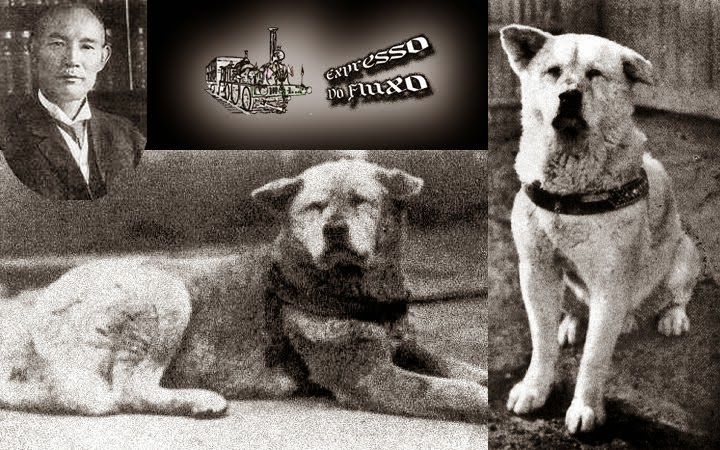 HACHIKO - BIỂU TƯỢNG CỦA SỰ TRUNG THÀNH